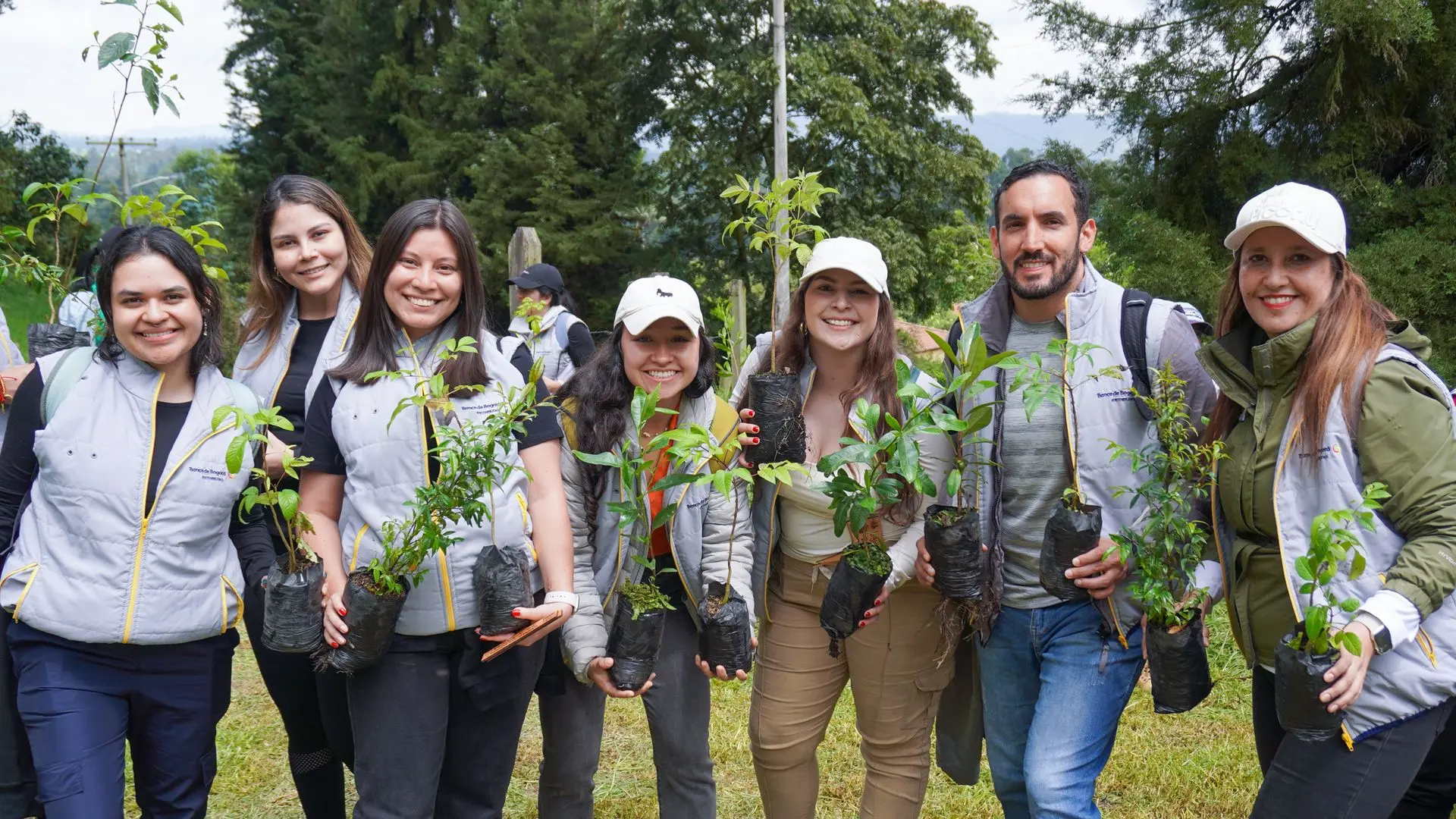 Junto a comunidades locales, Banco de Bogotá ha sembrado más de 143.000 árboles para restaurar ...